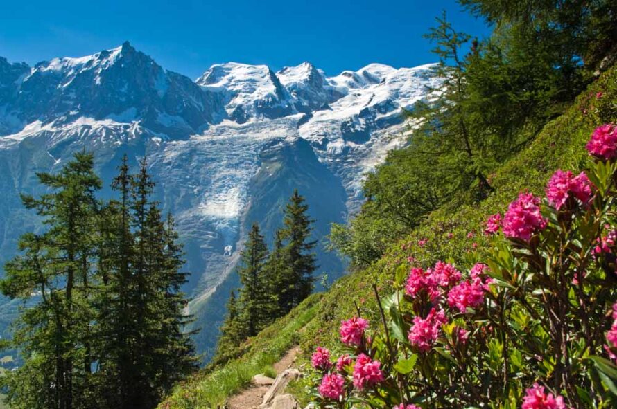 Best Bits of Chamonix, France in the Summer - Best Bits Worldwide
