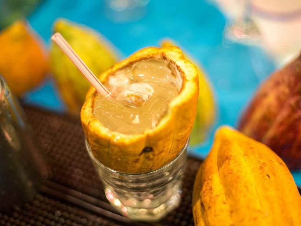 Best Bits of the Grenada Chocolate Festival